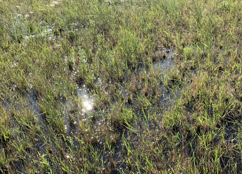 Evaluation of Soils for Suitability for Tile Drainage Performance ...